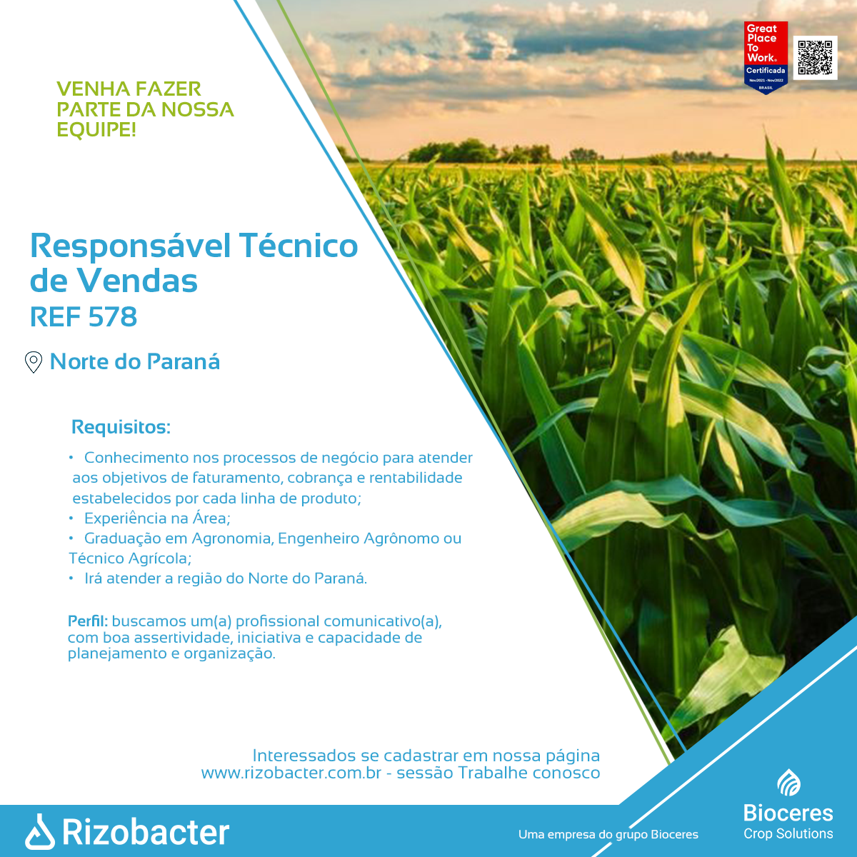 Nuevas Oportunidades De Empleo Representante T cnico De Vendas REF 578 